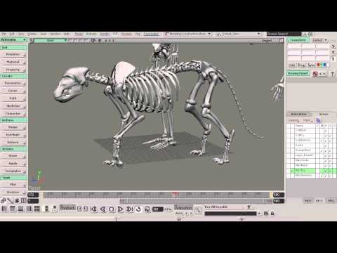 cmiVFX Releases New Softimage Anatomy of Motion Animation