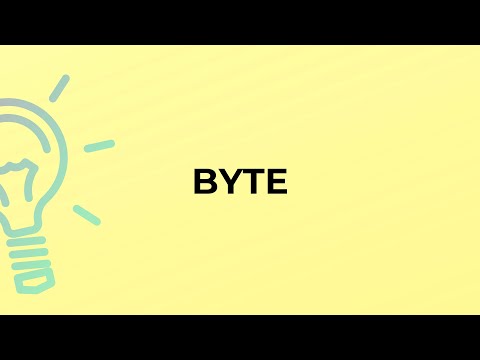 What is the meaning of the word BYTE?