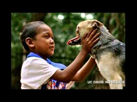 Hero dog homeward bound