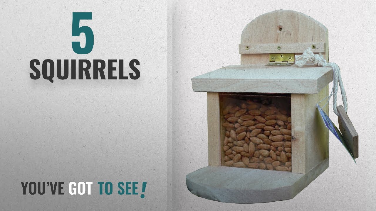 Top 10 Squirrels [2018]: Wildlife World Squirrel Feeder