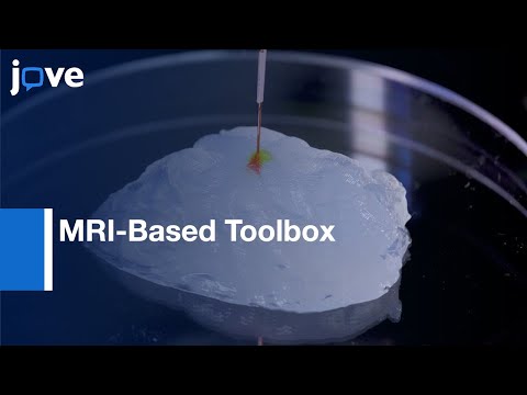 MRI-Based Toolbox For Neurosurgical Planning In Nonhuman Primates l Protocol Preview