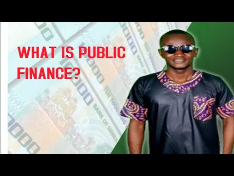 WHAT IS PUBLIC FINANCE?