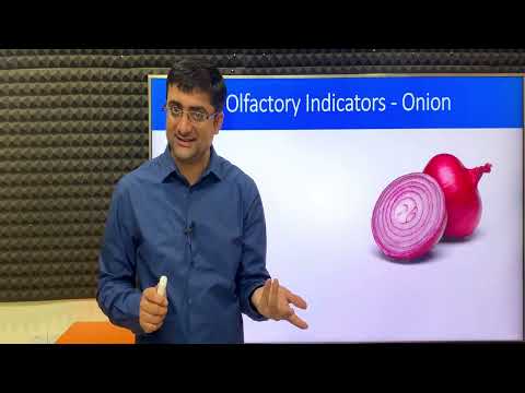 Class 10 | Science | Chemistry Acids Bases And Salts | Olfactory Indicators