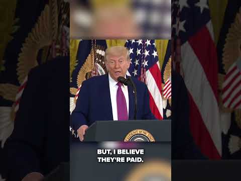 Trump claims that protestors in Los Angeles are other cities are 'paid agitators'