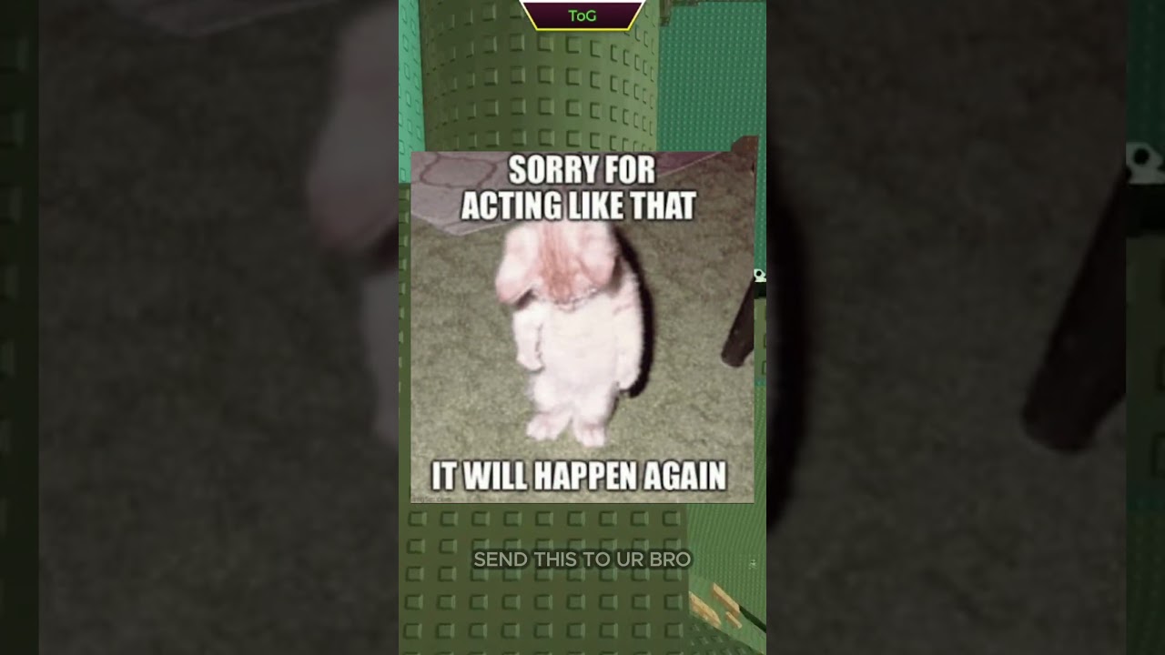 SEND THIS TO BRO 🤣  #memes