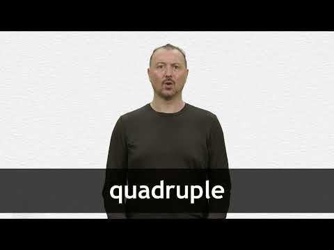English Translation of “QUADRUPLE” | Collins French-English Dictionary