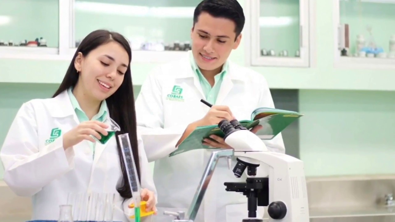¡Feliz 37 aniversario Cobaes Sinaloa!