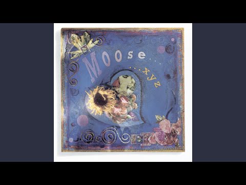 Moose music, videos, stats, and photos | Last.fm