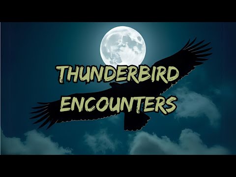 Thunderbird Encounters