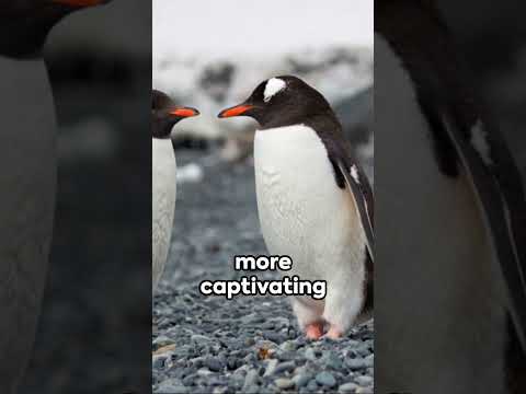 The Hidden World of Cold-Weather Survival for Animals