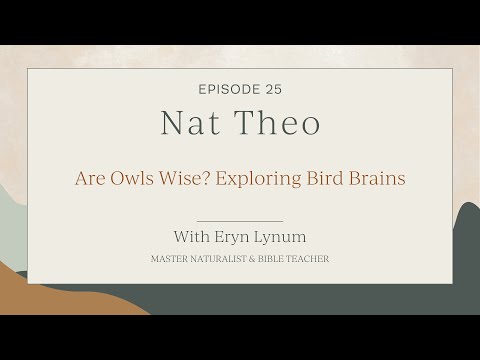 Are Owls Wise? Exploring Bird Brains - Episode 25