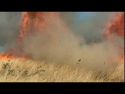 Une fête pour annoncer le sexe d’un bébé a brûlé 20.000 hectares de ...