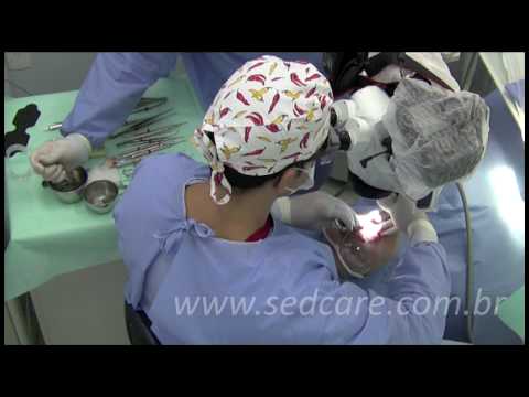 Microscópio FullHD sedcare.mov