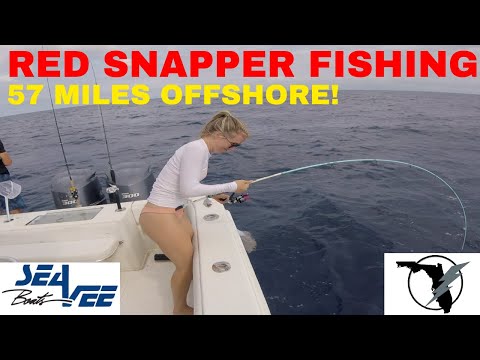 57 Miles offshore of Sarasota. First Red Snapper Season Run in the SeaVee!