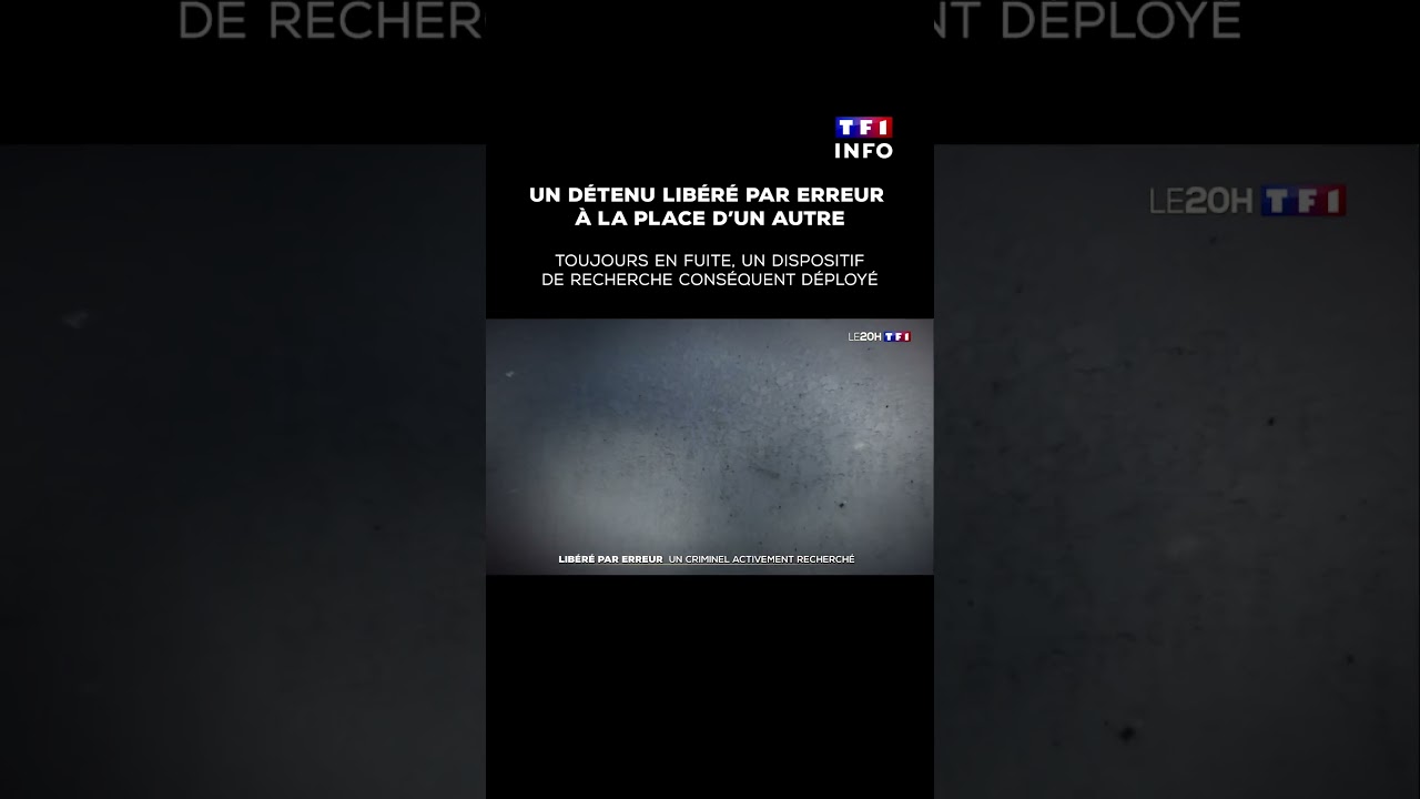 Bordeaux : un détenu libéré par erreur à la place d'un autre｜TF1 INFO