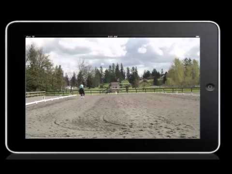 USEF Western Dressage Test Basic Level #1