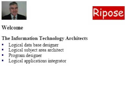 Responsibilities of the information technology architect