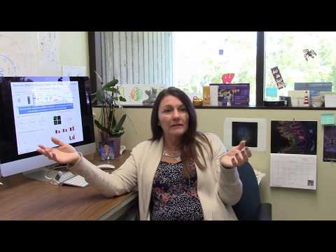 Spotlight interview with Dr Paula Desplats