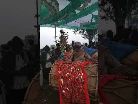 आदिवासी समुदायों में ढोल बजाते शायला डावर Shayla Davar playing drums in tribal communities ढोल song
