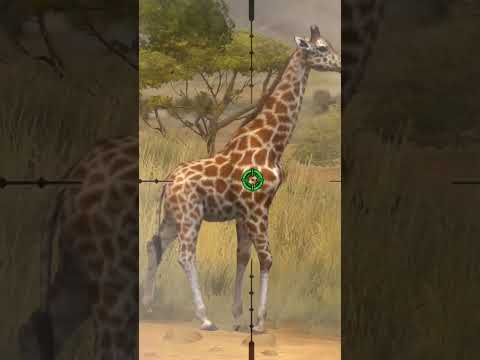 Av Oyunu #avcı #hunting #silahoyunlari #shortvideo