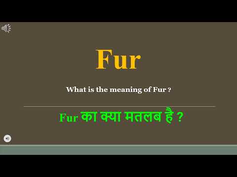 Fur meaning in Hindi | Fur ka kya matlab hota hai | daily use English words