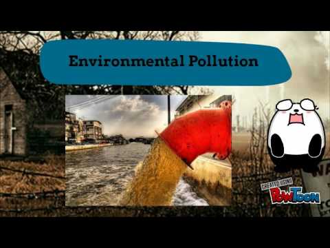 Environmental Degradation