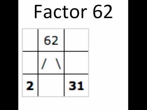 Factor A 62