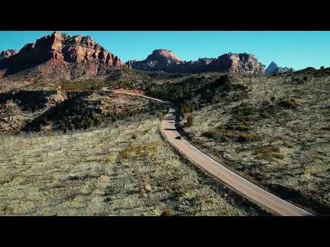 Mad Moose | Zion | 2021 | Slingshots 01