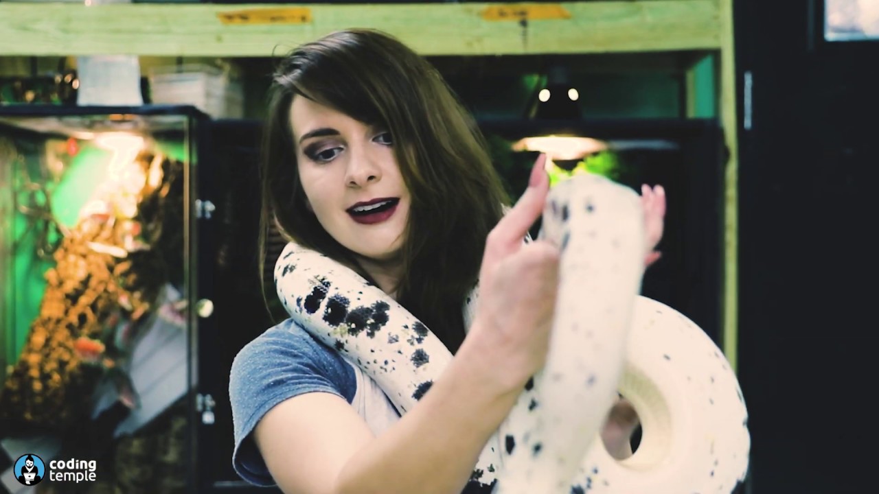 Highest Rated Coding Bootcamp - Coding Temple