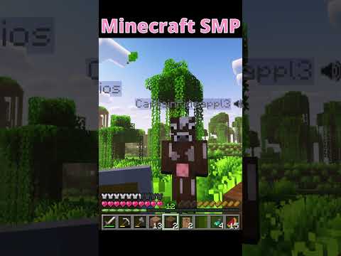 Just Minecraft SMP Prank #minecraftsmp #justminecraftsmp #minecraft