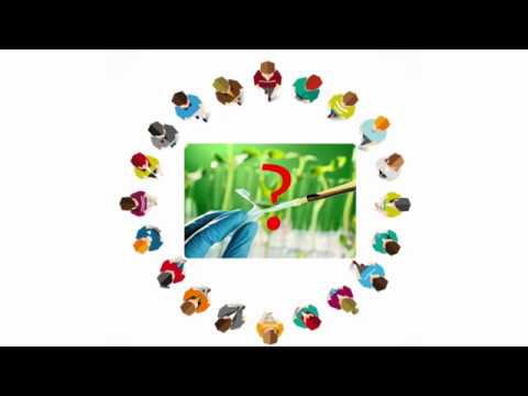 How to get started on a SSIBL-project? (UNIVIE)