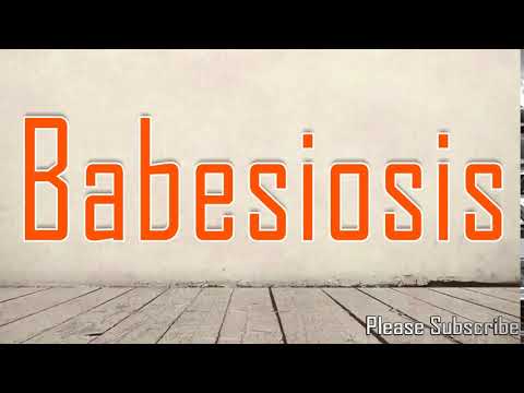 How to Pronounce Babesiosis