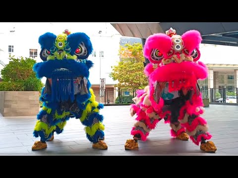 IPC - Lion Dance