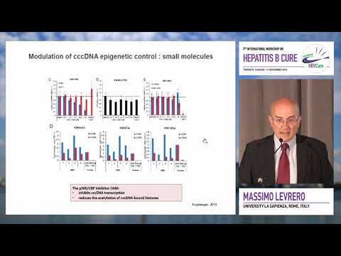 Virological Approach - CCC – DNA inhibition | Massimo Levrero, MD