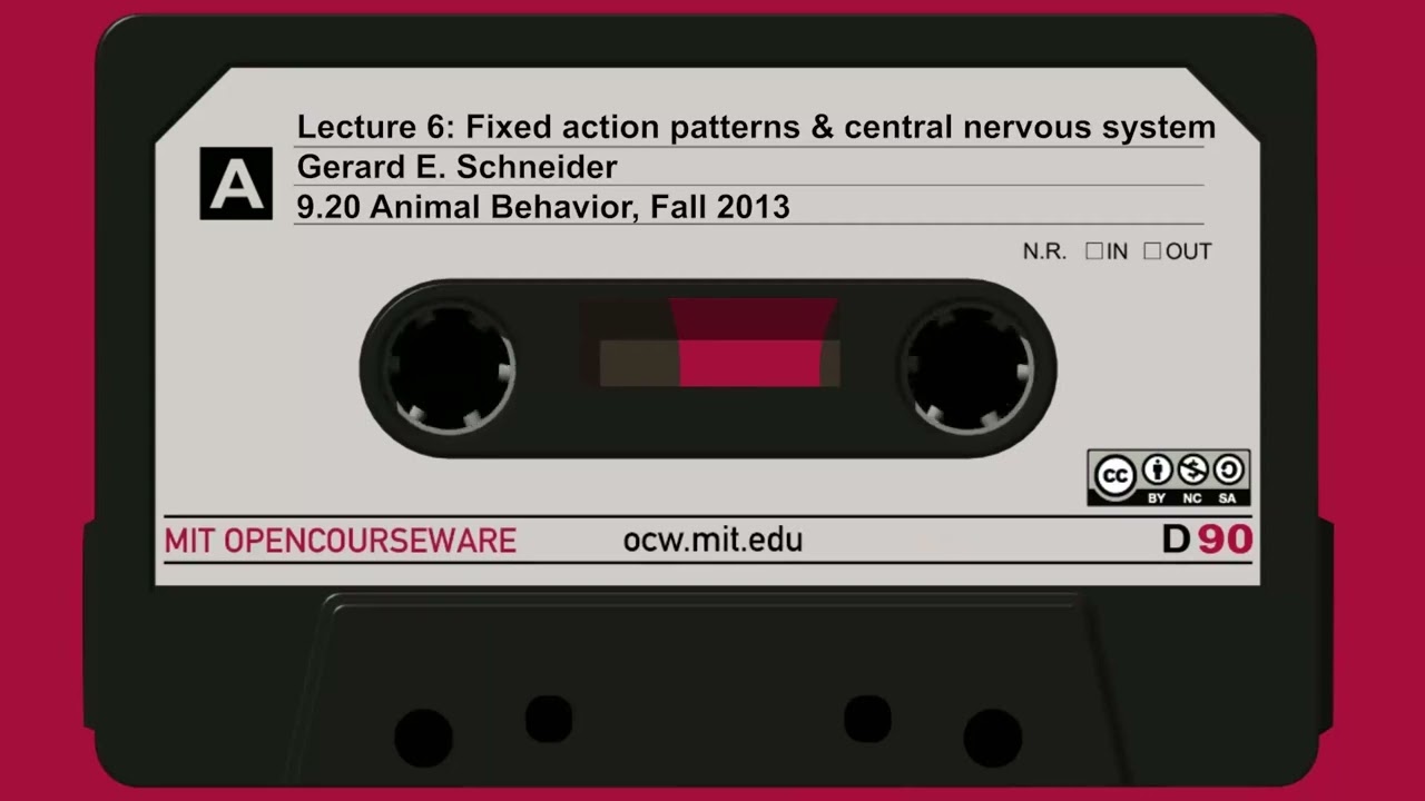 Lec6: Fixed action patterns and central nervous system