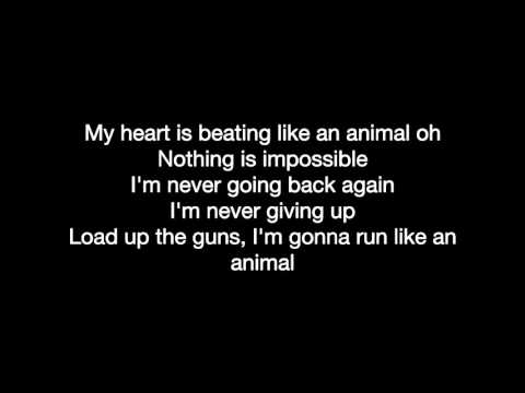 Animal Lyrics - Andrew Ripp - Zion Lyrics