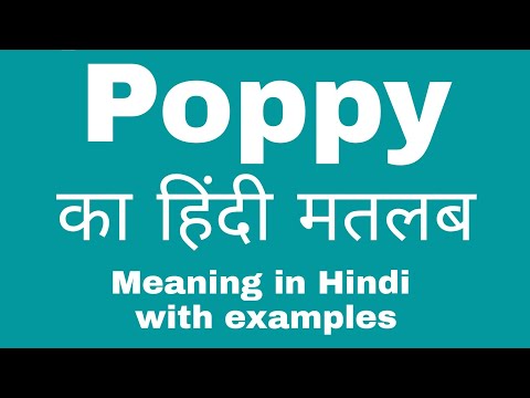 Poppy Meaning in Hindi/ Poppy का हिंदी अर्थ या मतलब क्या होता हैं।