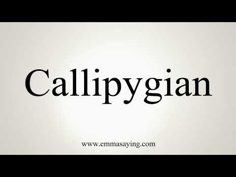 How to Pronounce Callipygian