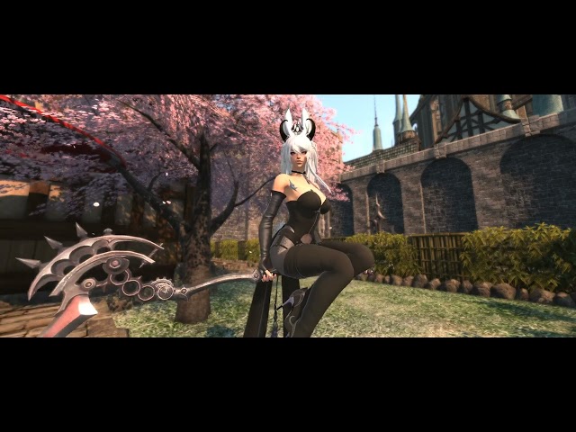 Aether Link - [Animation] Flying Witch (BLM/WHM idle) [DT compatible]