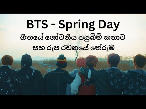 BTS Spring Day ගීතයේ ඛේදනීය පසුබිම් කථාව සහ රූප රචනයේ තේරුම ~ Ceylon Bangtan | BTS Sinhala