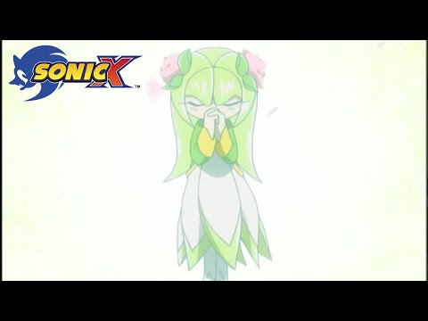 Sonic X | Goodbye Cosmo! The Ultimate Sacrifice