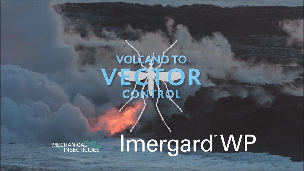 Vector Control Using Imergard WP - Biopesticide IRS Mosquito Control