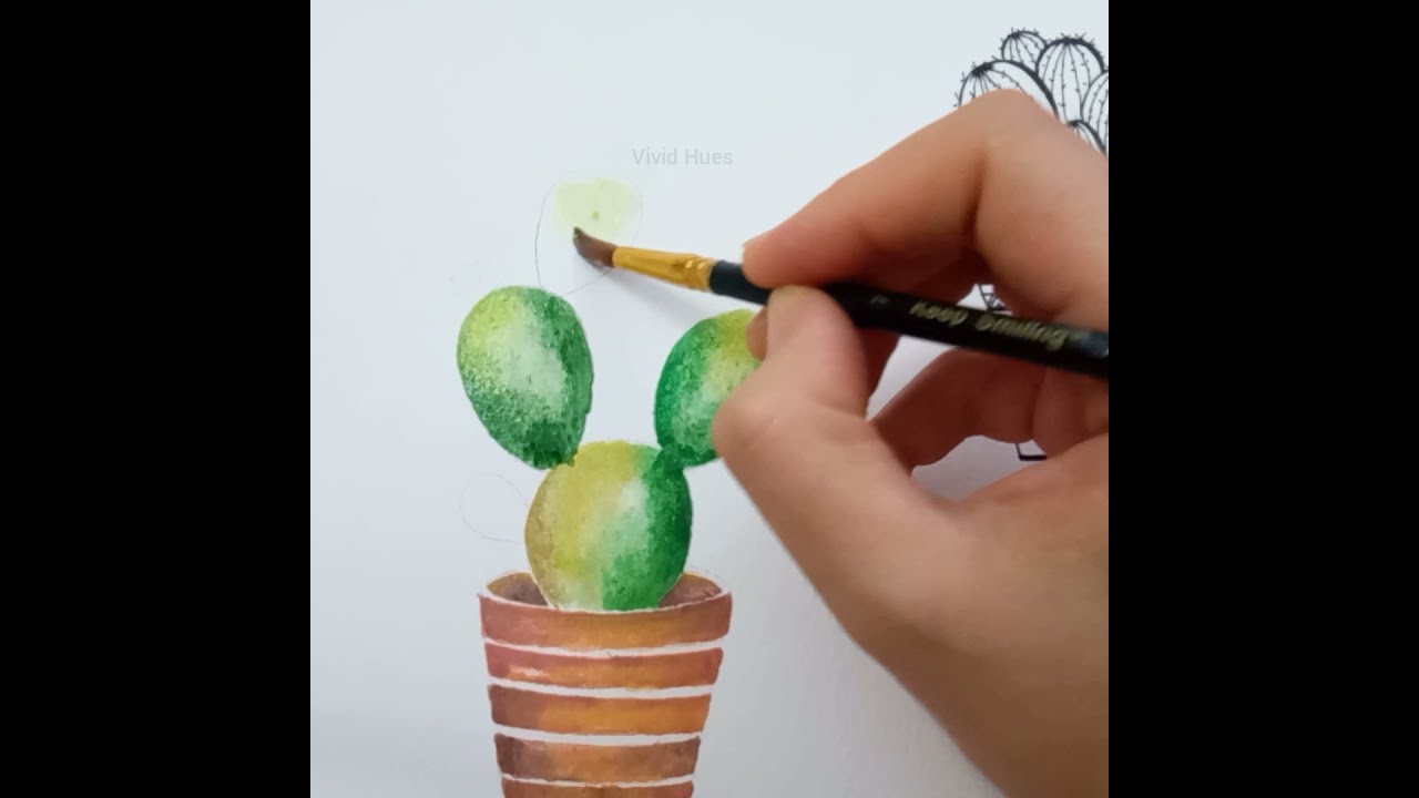 Draw and paint Cactus and succulent illustration glimpses for beginners in 1 minute