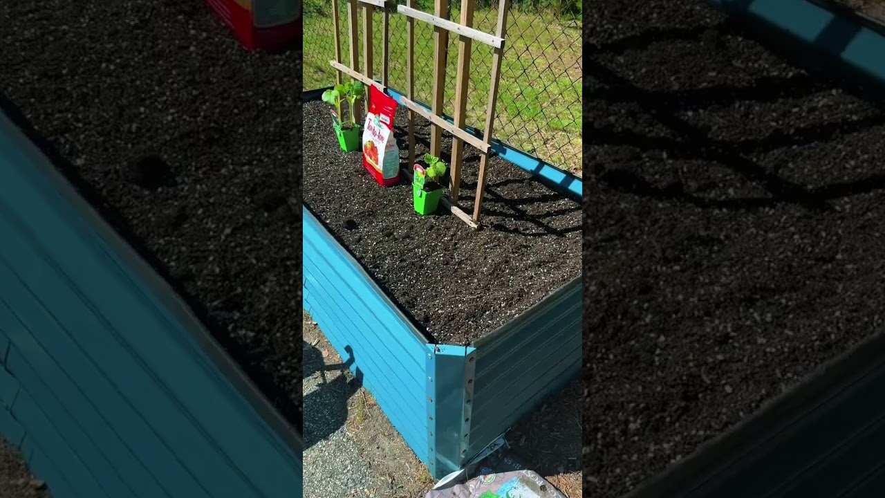 Vegetable Garden 2026!
