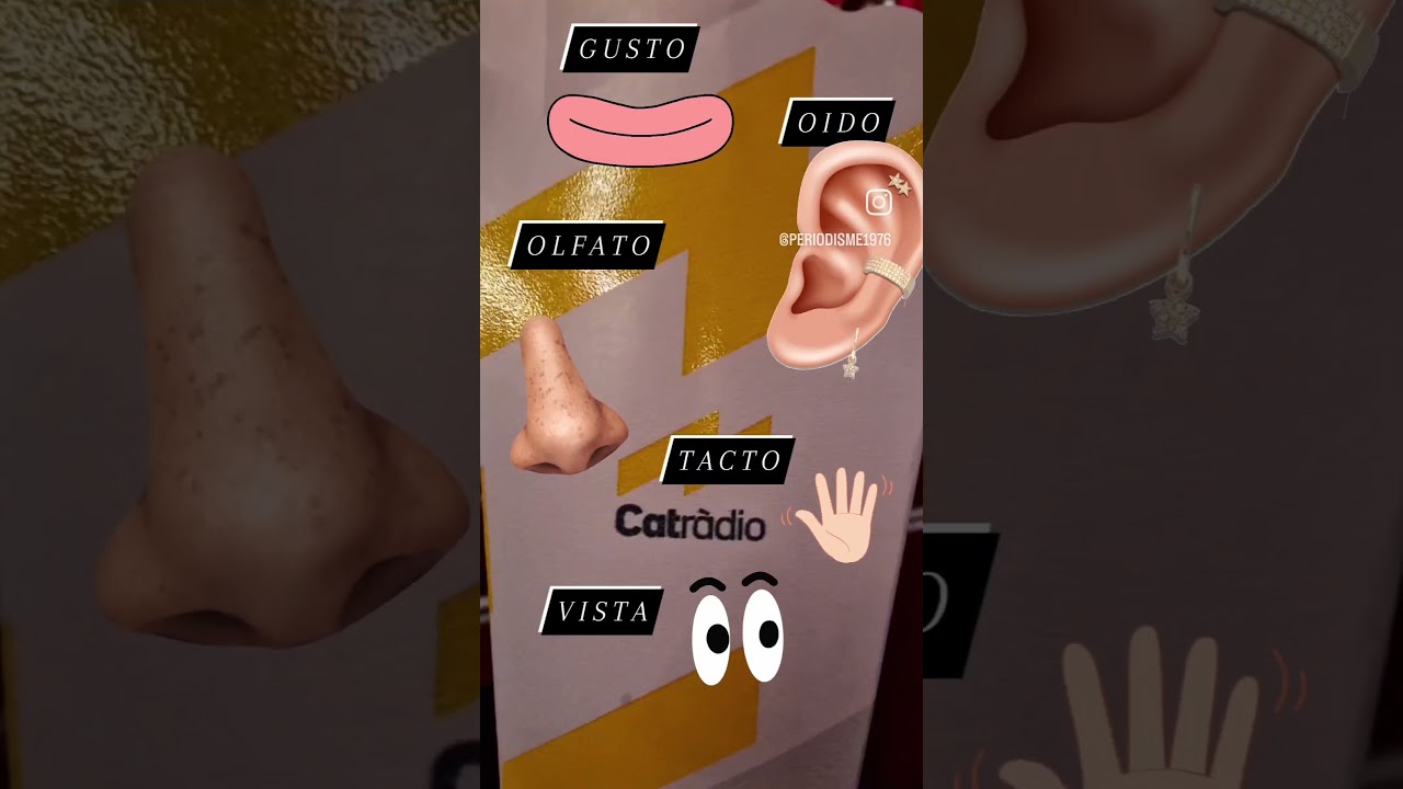 #shorts Los cinco sentidos del ser humano será el punto de inicio del nuevo projecto  infantil