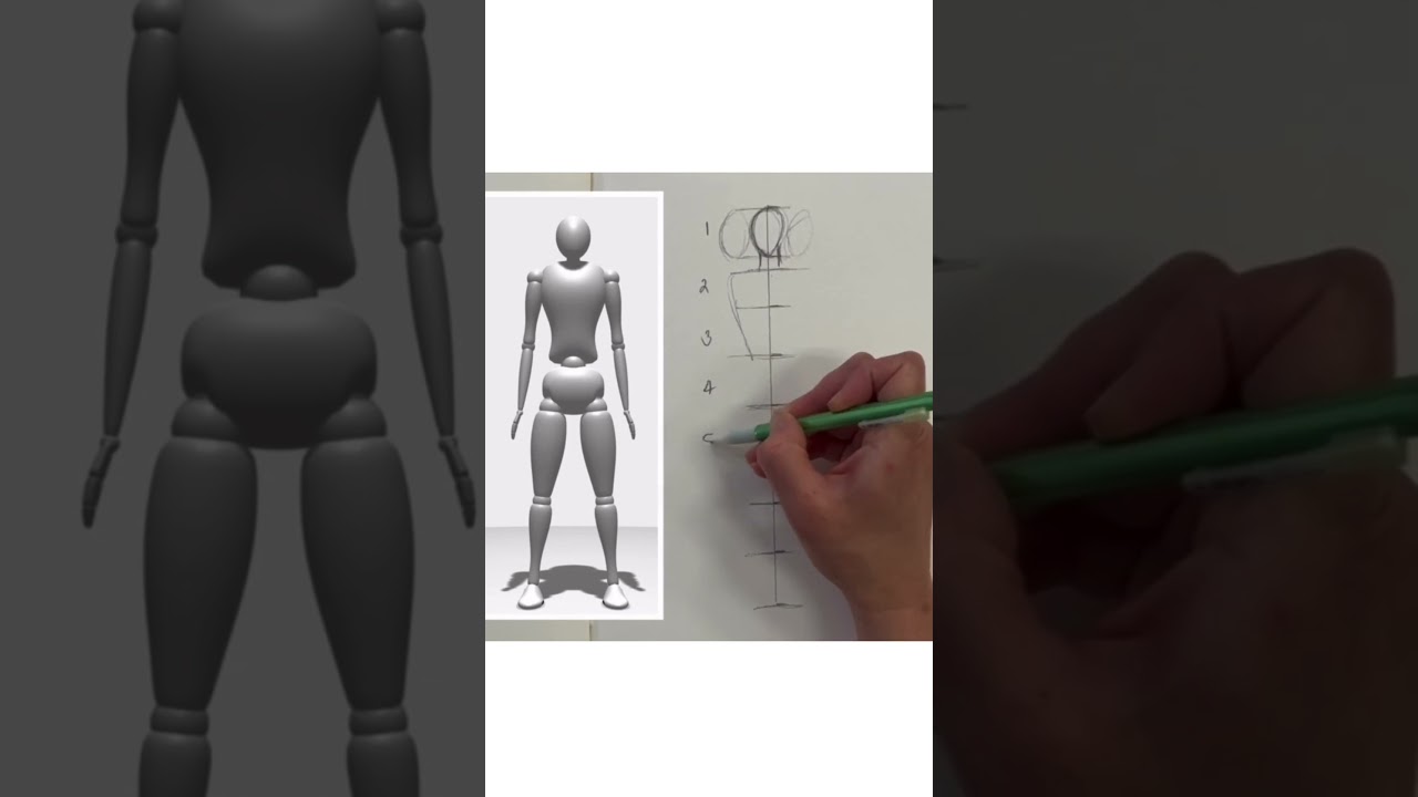 Figure Drawing Basics | Simplified Human Proportion #shorts
