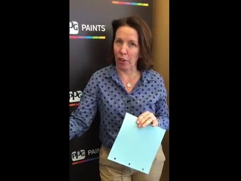 Find Your Perfect Paint Color with Designer Sized Swatches from PPG Voice of Color