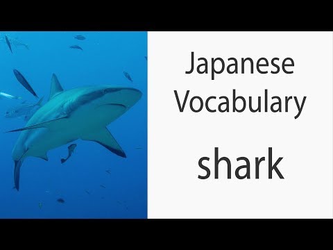How to say "Shark" in Japanese