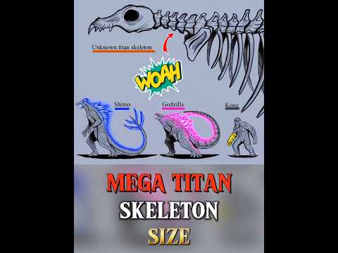 Godzilla x Kong - Mega Titan Skeleton Size Explain #shorts