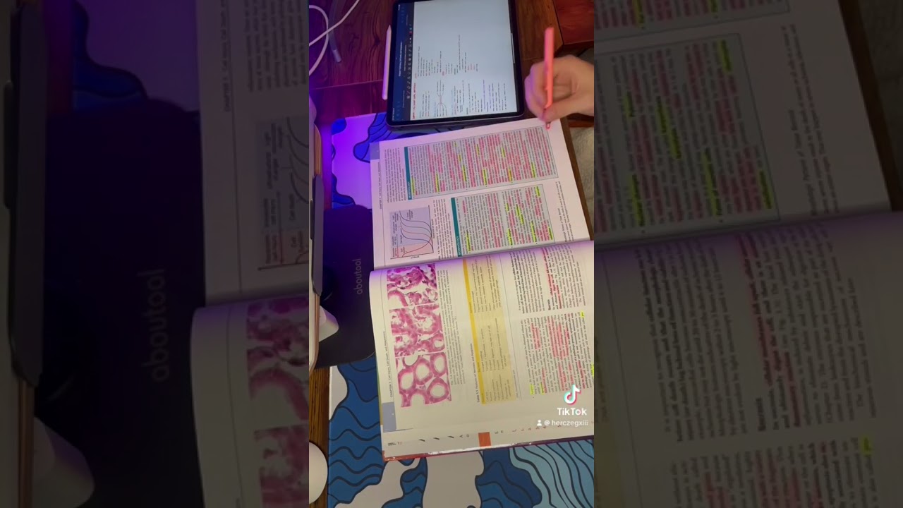 How to get A’s! #anatomy #physiology #notes #study